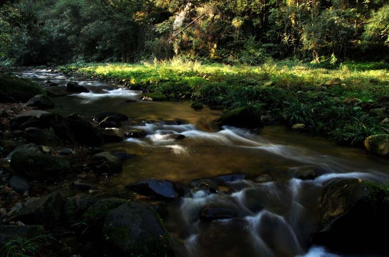 Golden Whip Stream - Zhangjiajie National Forest Park Scenic Spots ...