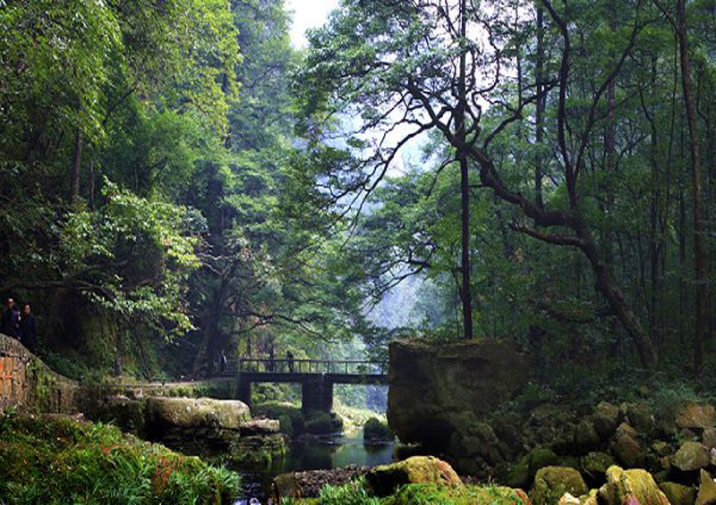 Golden Whip Stream - Zhangjiajie National Forest Park Scenic Spots ...