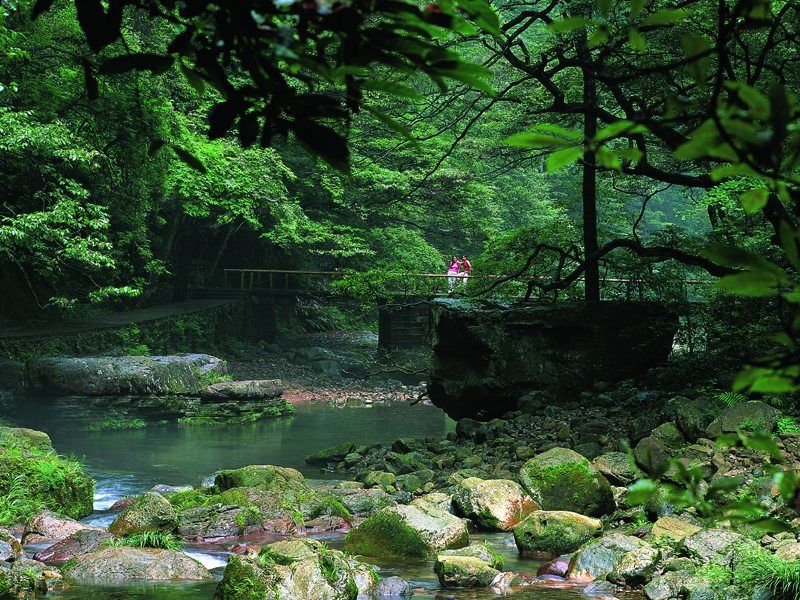 Golden Whip Stream:The Most Beautiful Gorge in the World - Zhangjiajie ...